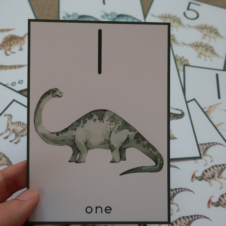 Dinosaur Counting Cards. Printable Dino Number Flash Cards. | Etsy