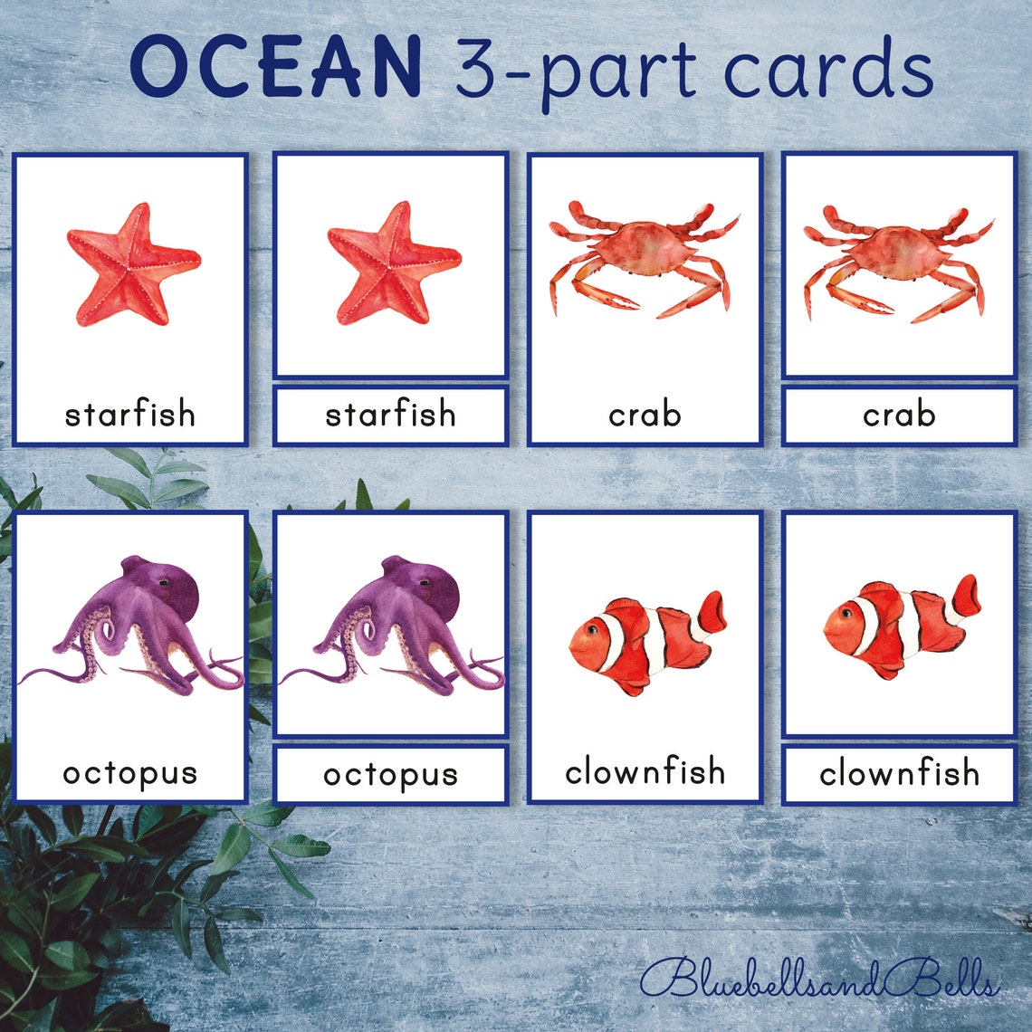 Ocean Montessori Printable 3 Part Cards. Preschool Vocabulary | Etsy