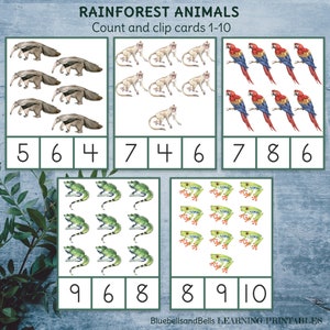 Rainforest Animals Count and Clip Cards 1-10. Preschool Math Printable ...