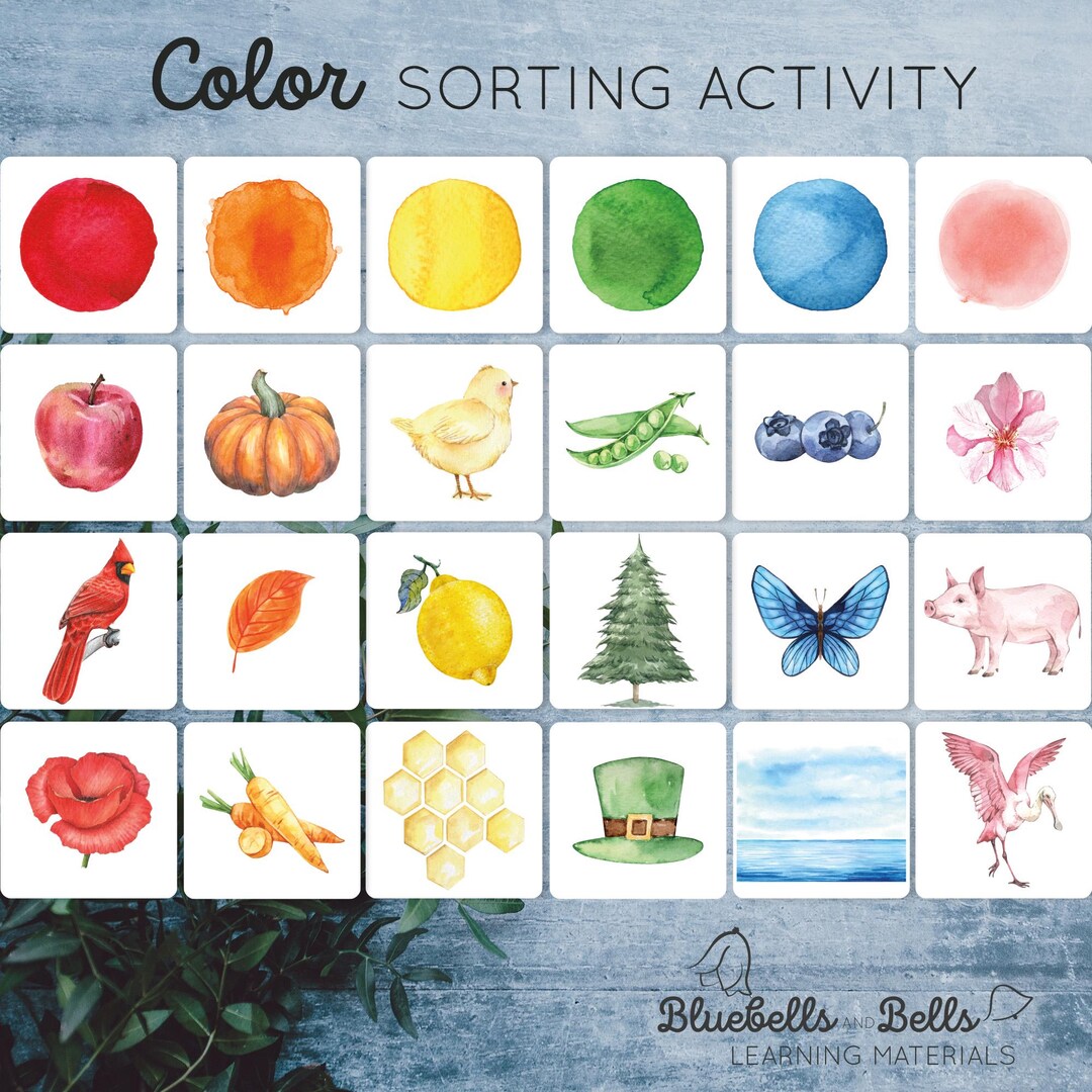 Color Sorting Preschool Printable Activity. Toddler Watercolor ...