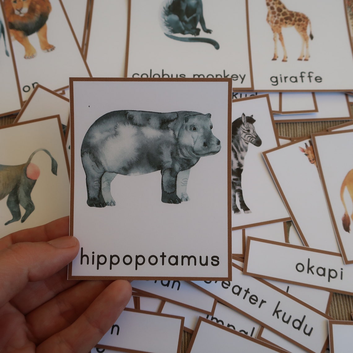 Africa Animals Montessori 3 Part Cards. Preschool and | Etsy