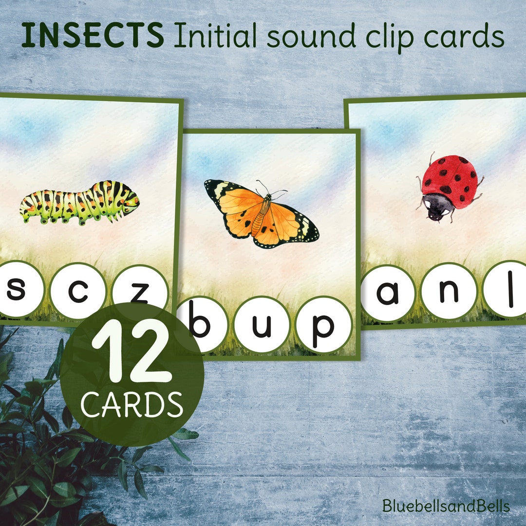 Insects Beginning Sound Clip Cards. Phonics Preschool and Kindergarten ...