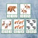 Woodland Animals Count and Clip Cards 1-10. Montessori Printable. - Etsy