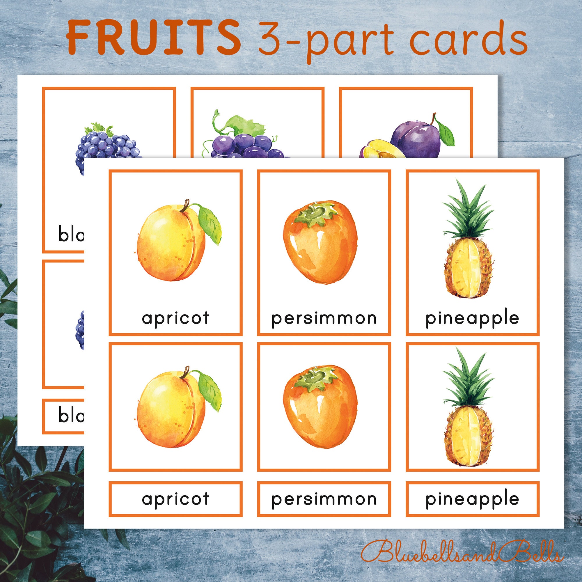 Fruits Montessori Three Part Cards. Vocabulary Activity for - Etsy