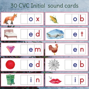 Montessori Printable Moveable Alphabet. CVC Word Phonics Matching Cards ...