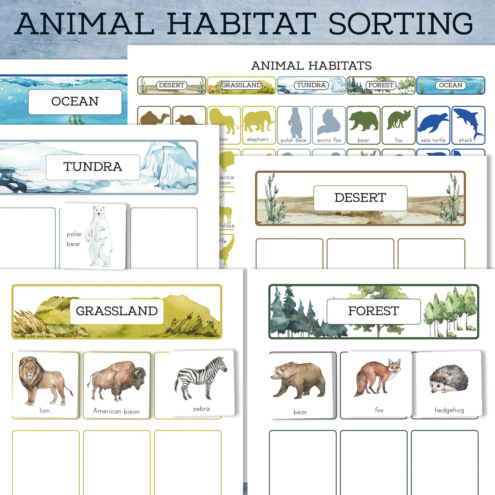 Animal Habitats Sorting Activity and Chart. Montessori - Etsy