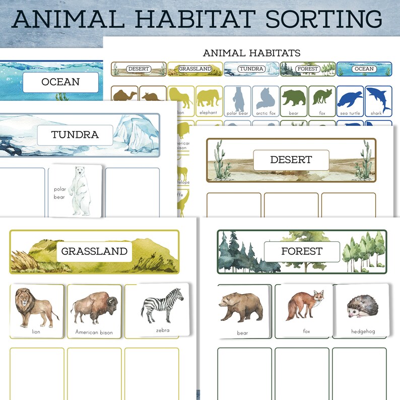 Animal Habitats Sorting Activity and Chart. Montessori - Etsy