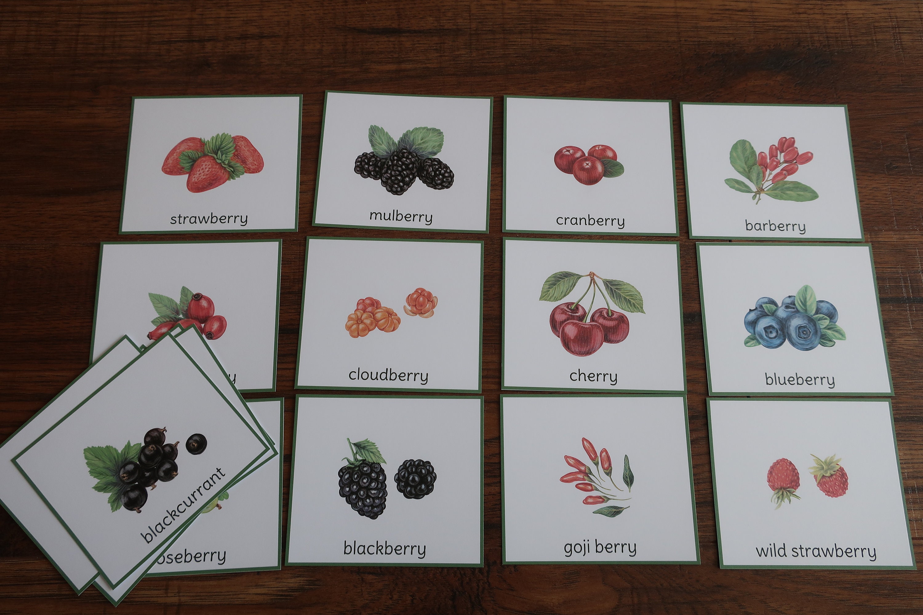 Berries flashcards and shadow matching cards. Preschool summer | Etsy
