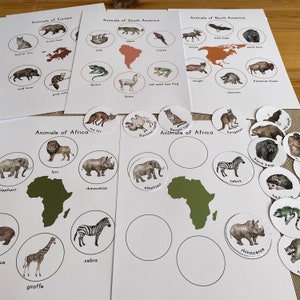 Animals of the Continents Posters and Sorting Activity. Montessori ...