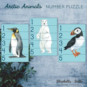 Toddler Arctic Animals Puzzle 1-5 Number. Penguin Printable Math ...