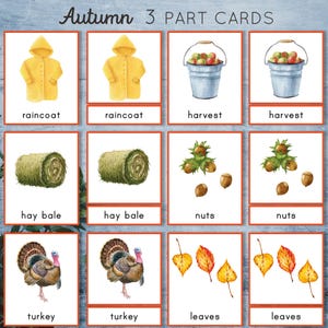 Fall Montessori Printable 3 Part Cards. Autumn Vocabulary for Preschool ...