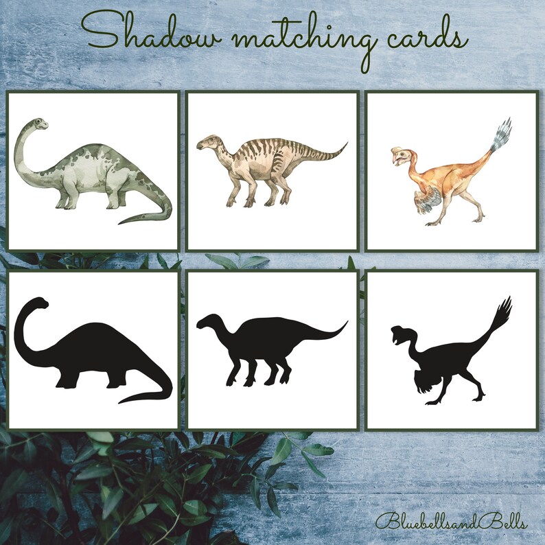 Montessori Printable Dinosaur Shadow Matching Cards. Toddler - Etsy