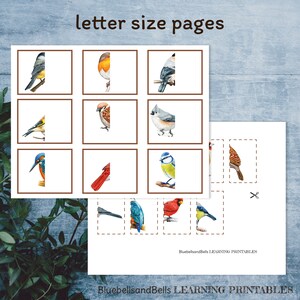 Toddler Puzzle Birds Halves Matching. Montessori Spring Printable Busy ...