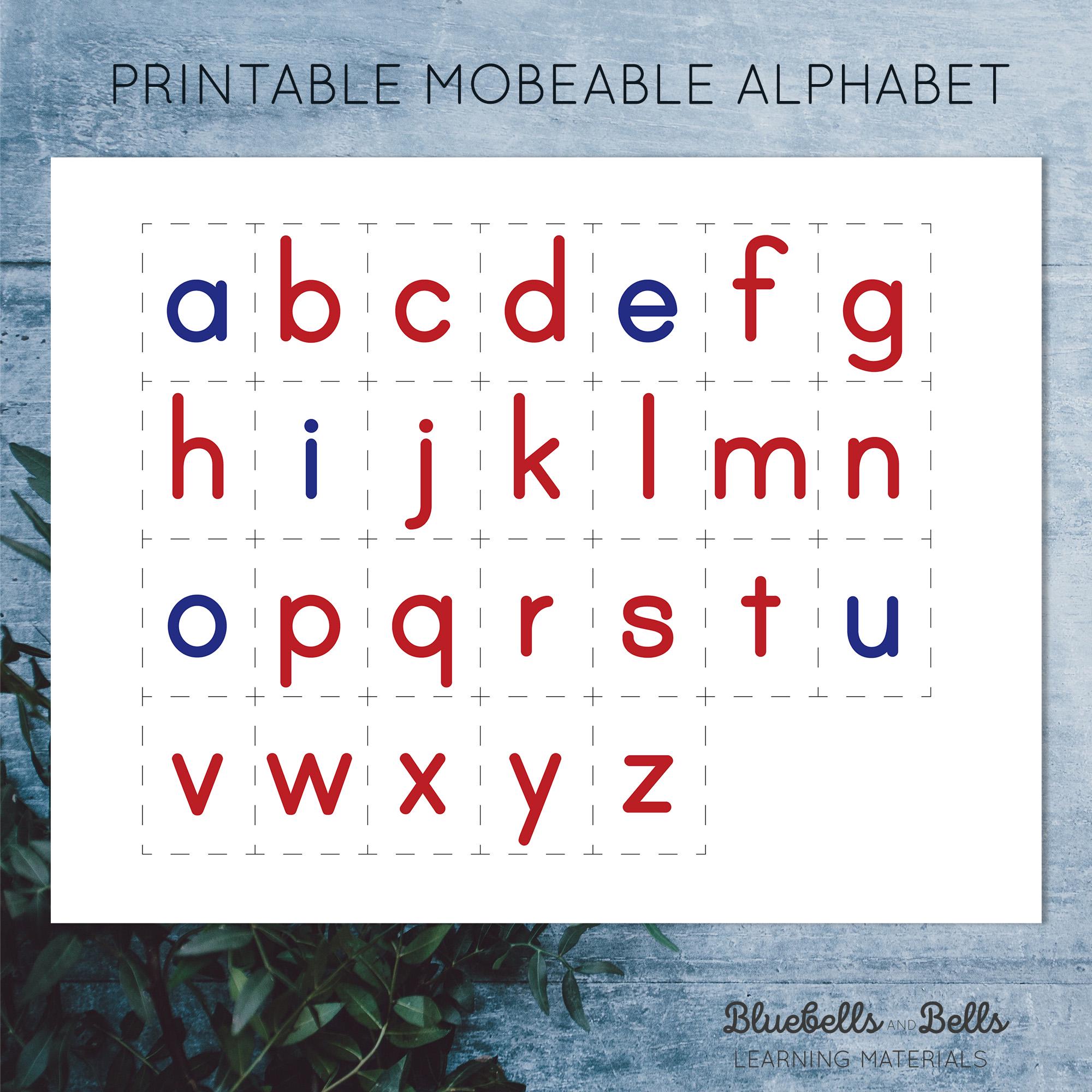 Montessori Printable Moveable Alphabet and CCVC Word Letter Matching ...