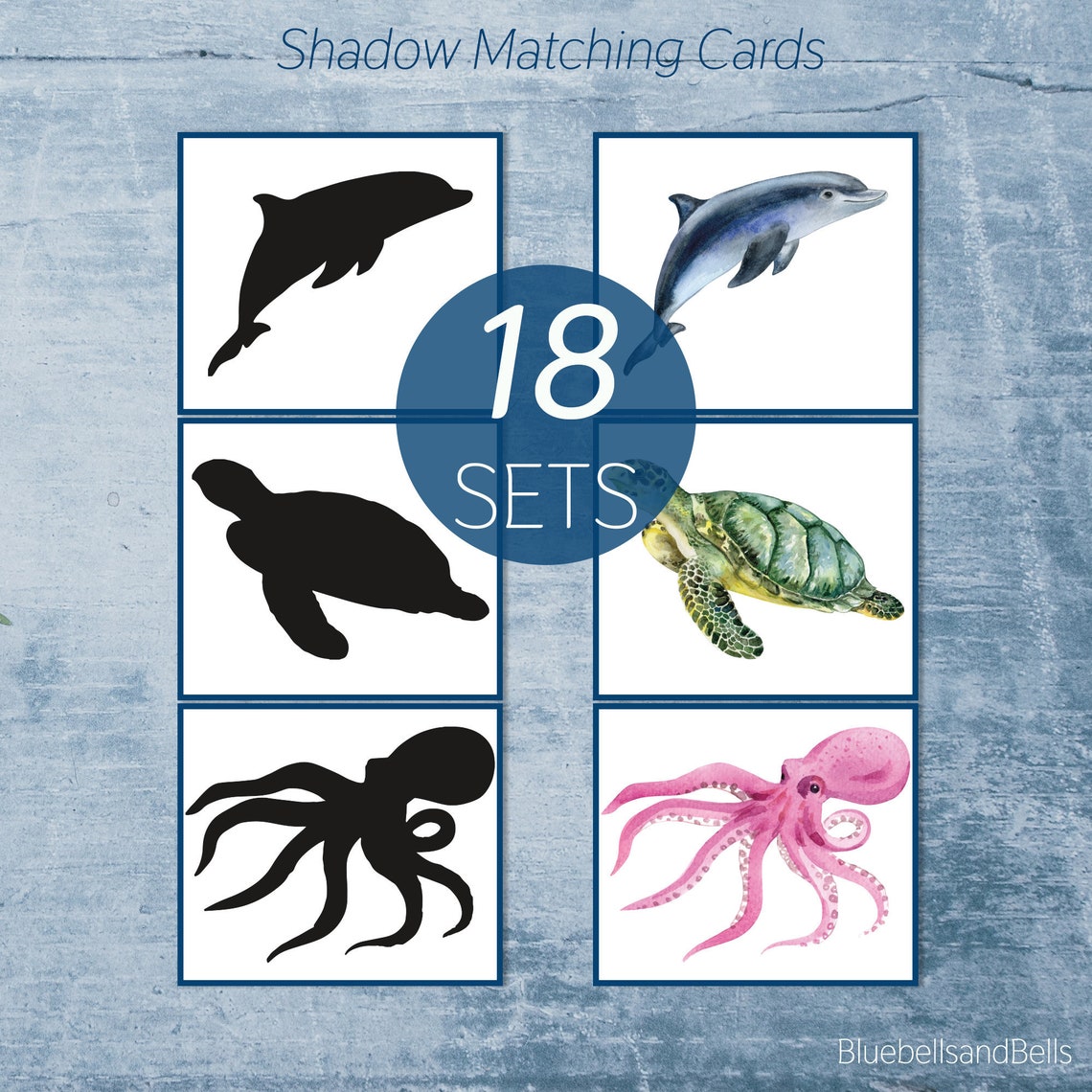 Ocean Animal Shadow Matching Cards. Montessori Summer - Etsy Canada