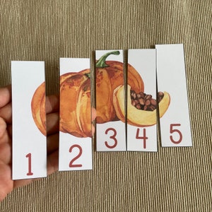 Montessori Toddler Printable Fruits Puzzle Number Sequence 1-5. - Etsy