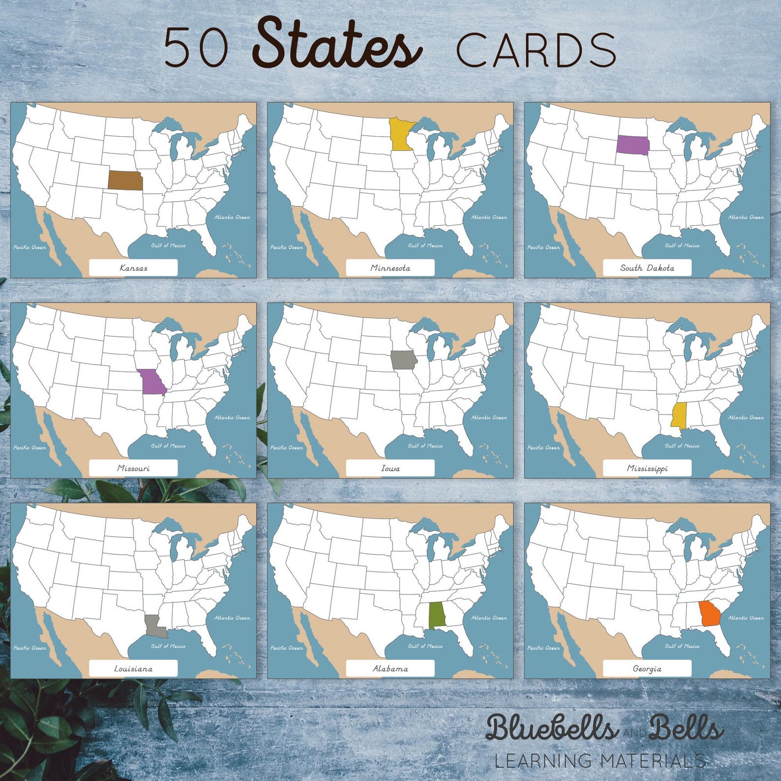United States Montessori Maps and Cards. - Etsy