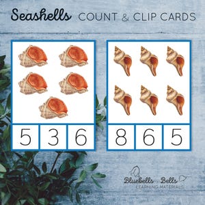 Seashell Count and Clip Cards 1-10. Montessori Ocean Printable ...