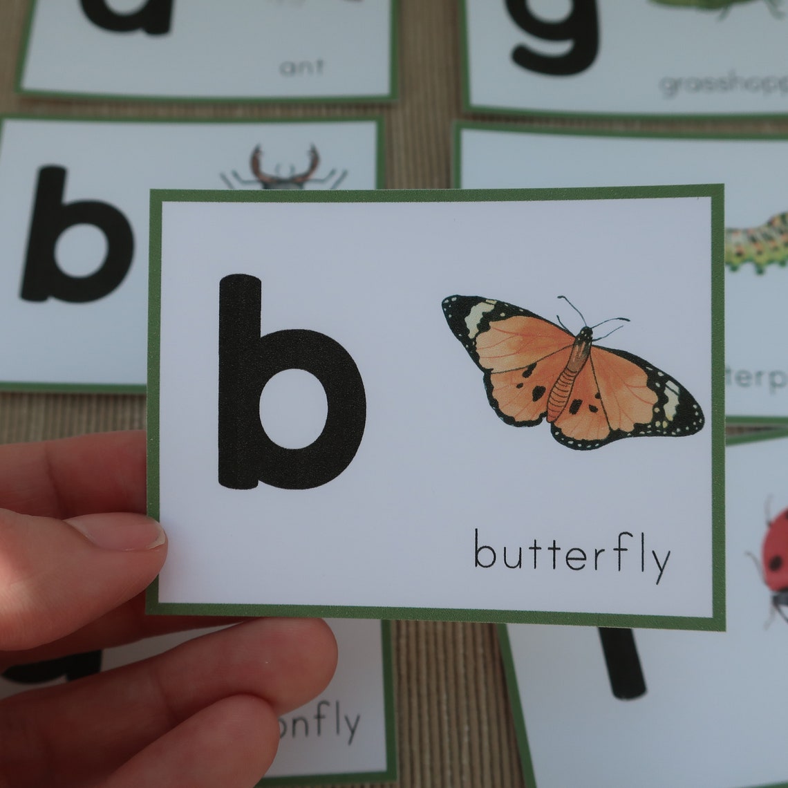 Phonics Printable INSECTS. Spring Preschool and Kindergarten - Etsy