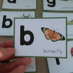 Phonics Printable INSECTS. Spring Preschool and Kindergarten Beginning ...