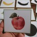 Fruit Shadow Matching Cards. Montessori Preschool Printable. Toddler ...