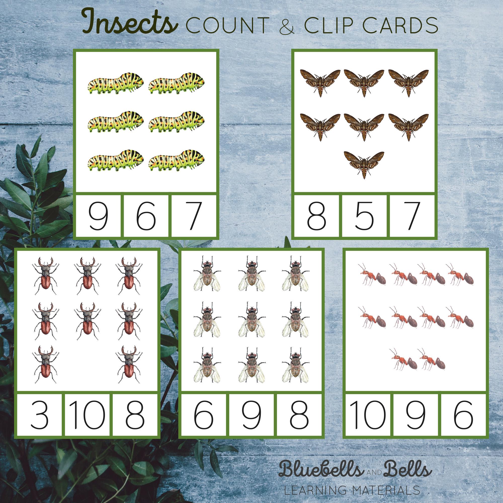 Insect Count and Clip Cards 1-10. Montessori Summer Math Printable ...