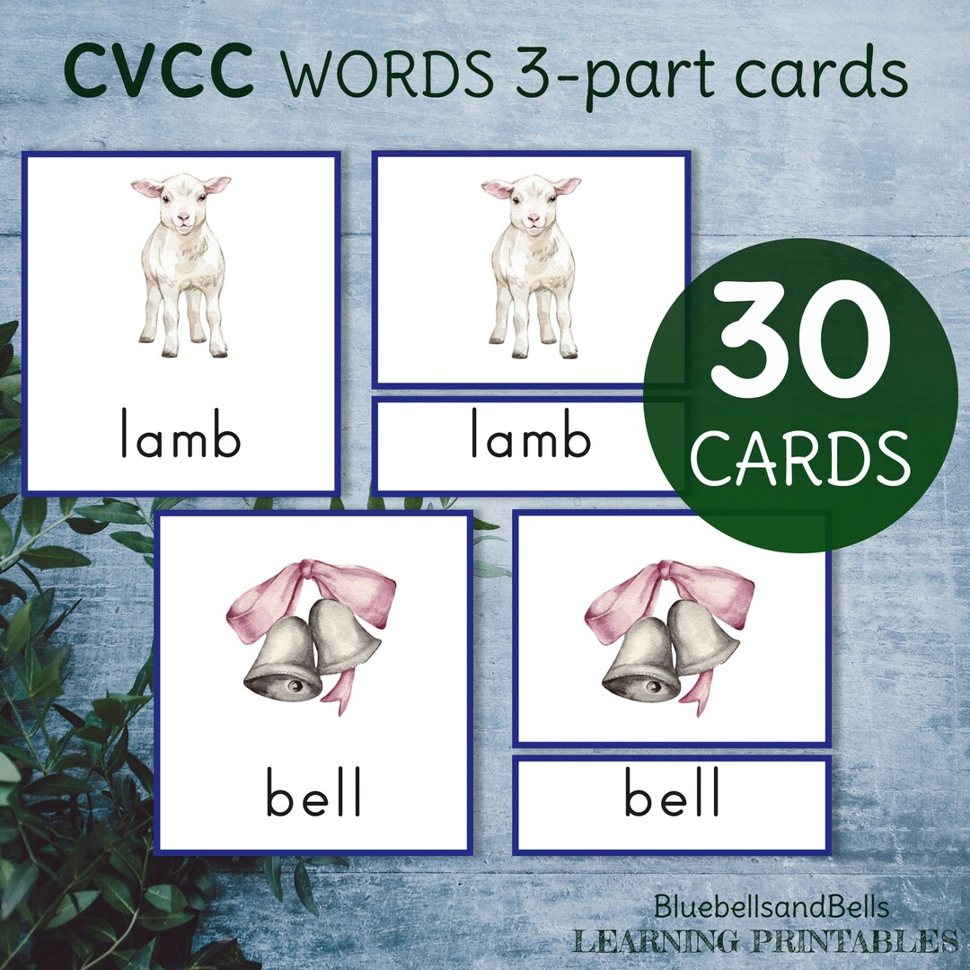 Montessori Printable CCVC Words 3-part Cards. Ending Blends Reading ...