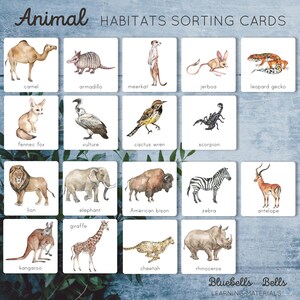 Animal Habitats Sorting Activity and Chart. Montessori Preschool and ...