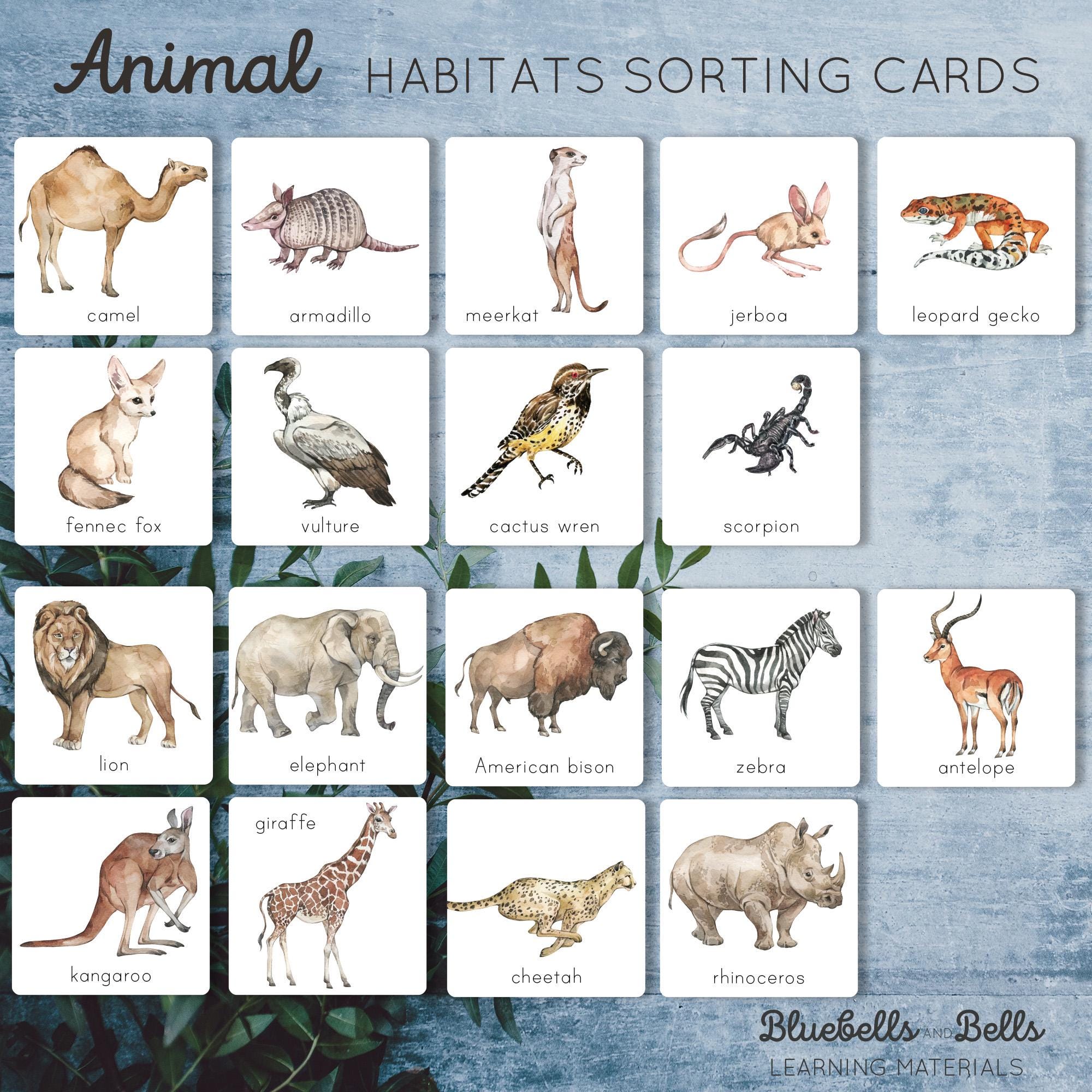 Animal Habitats Sorting Activity and Chart. Montessori Preschool and ...