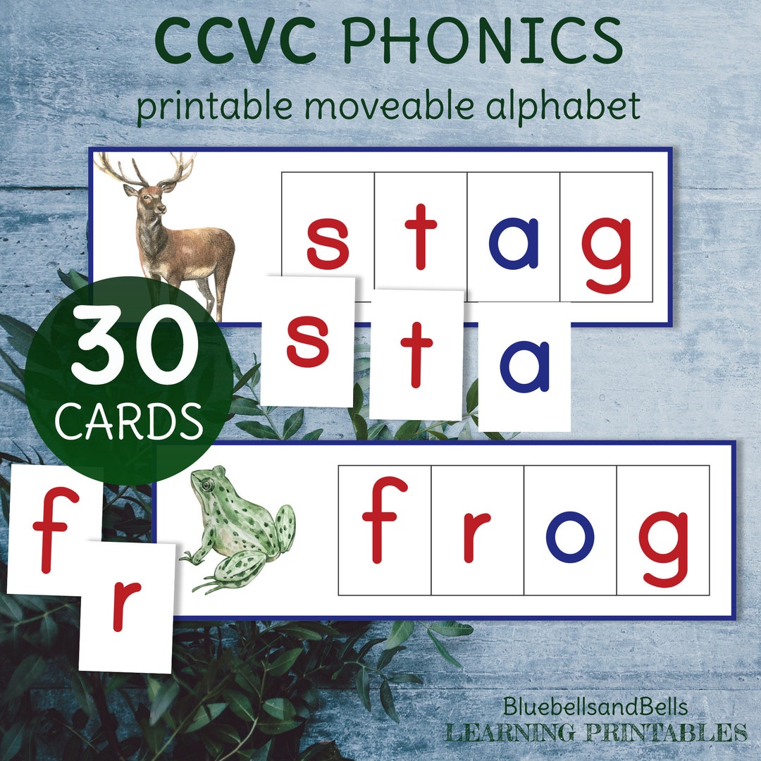 Montessori Printable Moveable Alphabet and CCVC Word Letter Matching ...