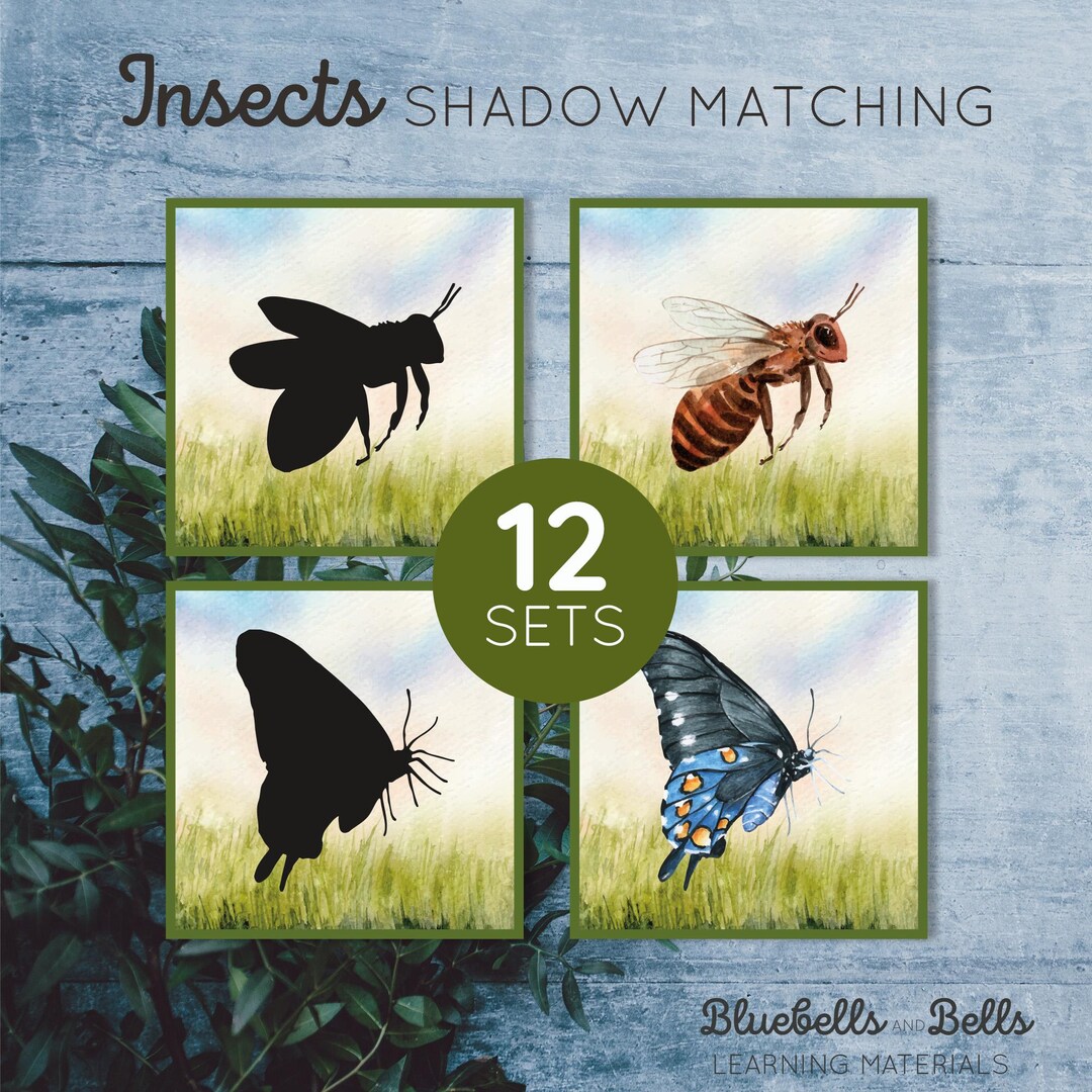 Insect Shadow Matching Cards. Montessori Pre-reading Printable for ...