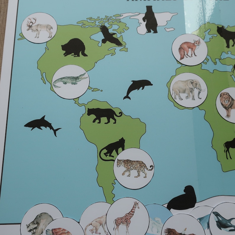 Animals of the Continents Shadow Matching Activity. Montessori - Etsy