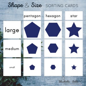 Shape Sorting Activity. Montessori Printable. - Etsy