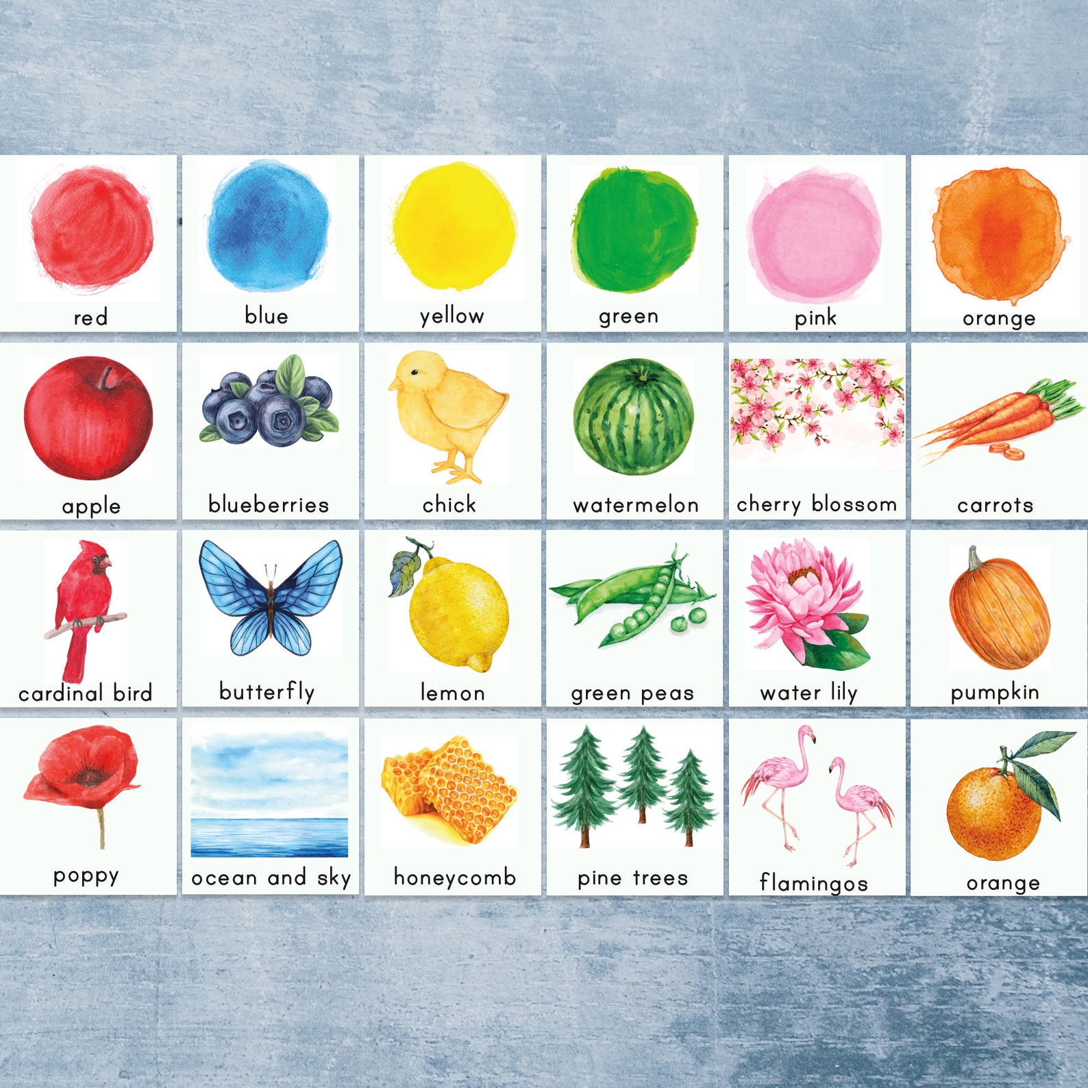 Color Sorting Preschool Printable Activity. Toddler Watercolor - Etsy