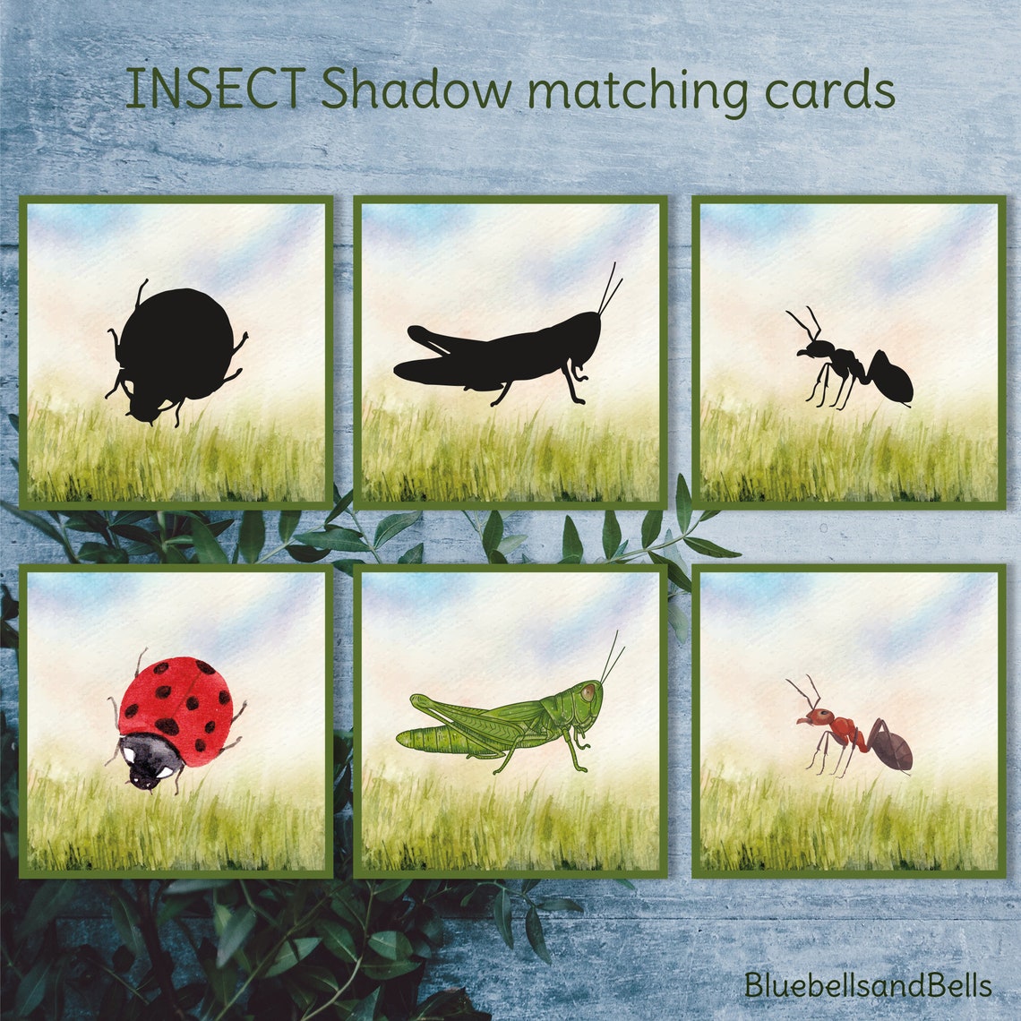 Insect shadow matching cards. Montessori pre-reading printable | Etsy