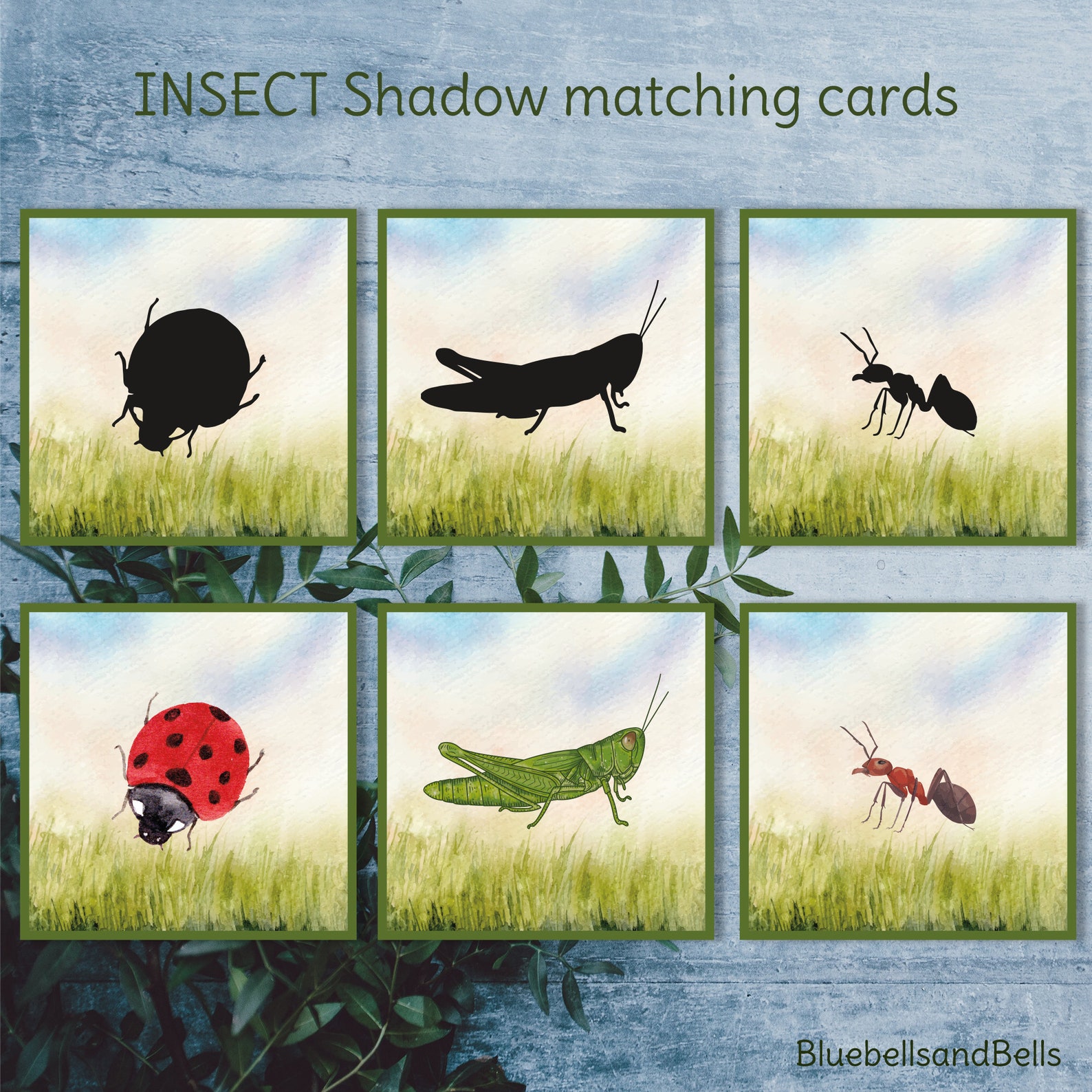 Insect Shadow Matching Cards. Montessori Pre-reading Printable | Etsy
