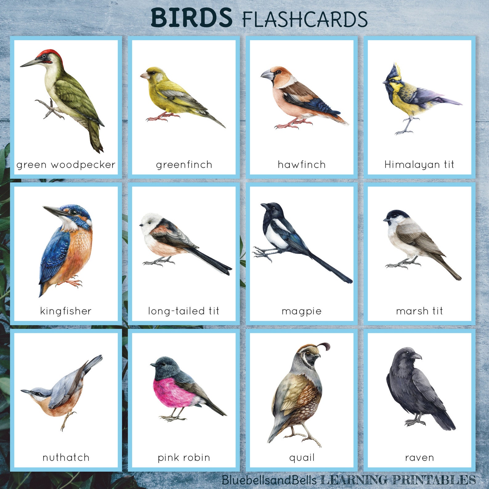Birds Cards. Birds Identification Printable Flash Cards. Montessori ...
