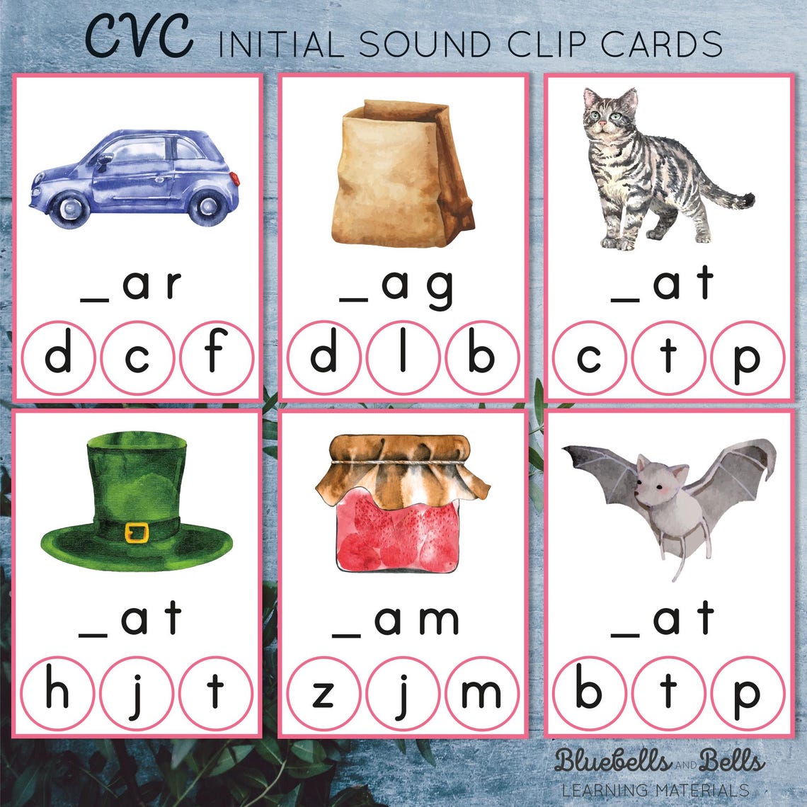 Phonics Printable CVC Word Clip Cards. Beginning Sound Printable ...