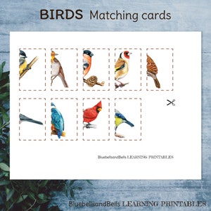 Toddler Puzzle Birds Halves Matching. Montessori Spring Printable Busy ...