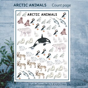 Montessori Arctic Animals Graphing Activity. Preschool Math Printable ...