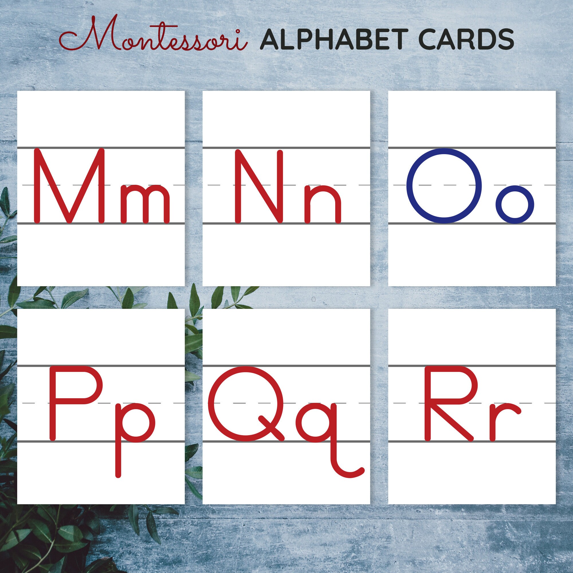 Montessori Alphabet Cards Guided. - Etsy