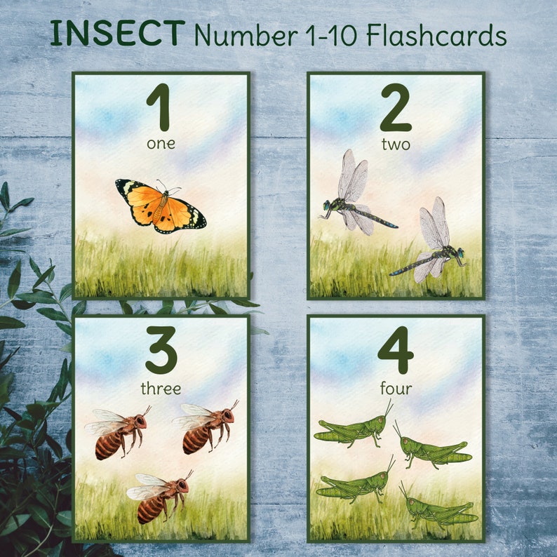 Insect Preschool Printable Number 1-10 Flashcards. Toddler | Etsy