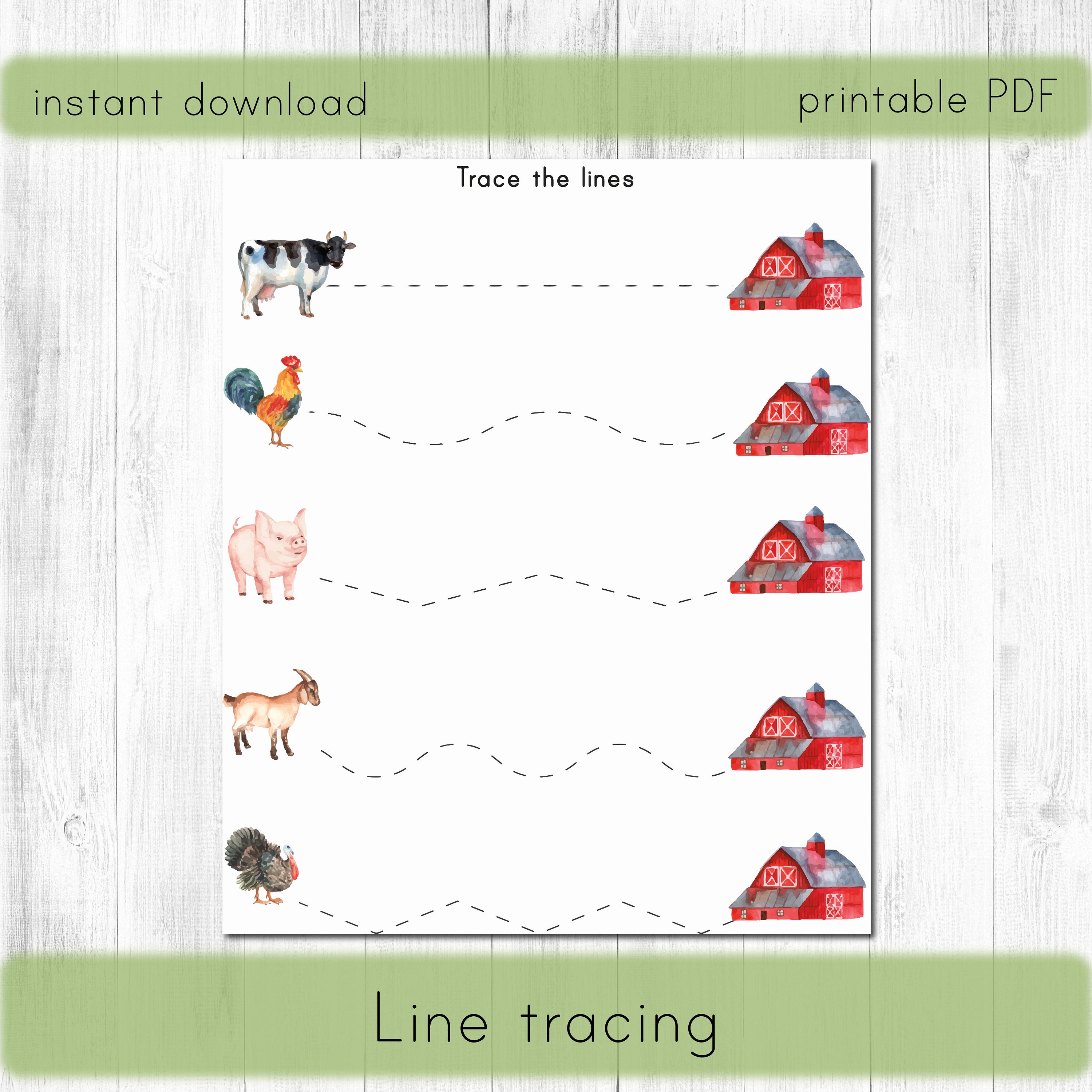 Farm Animals Preschool Printable. Montessori Preschool - Etsy