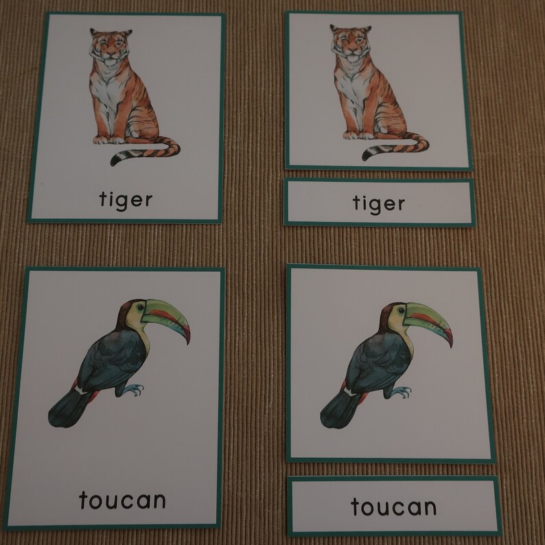Rainforest Animals Montessori Printable 3 Part Cards. - Etsy