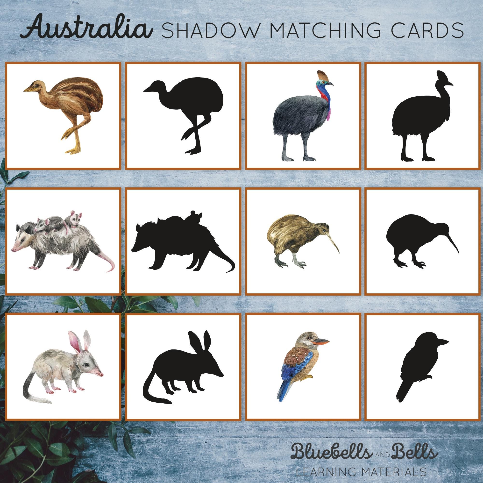 Australia Animal Cards Shadow Matching. Montessori Toddler Printable ...