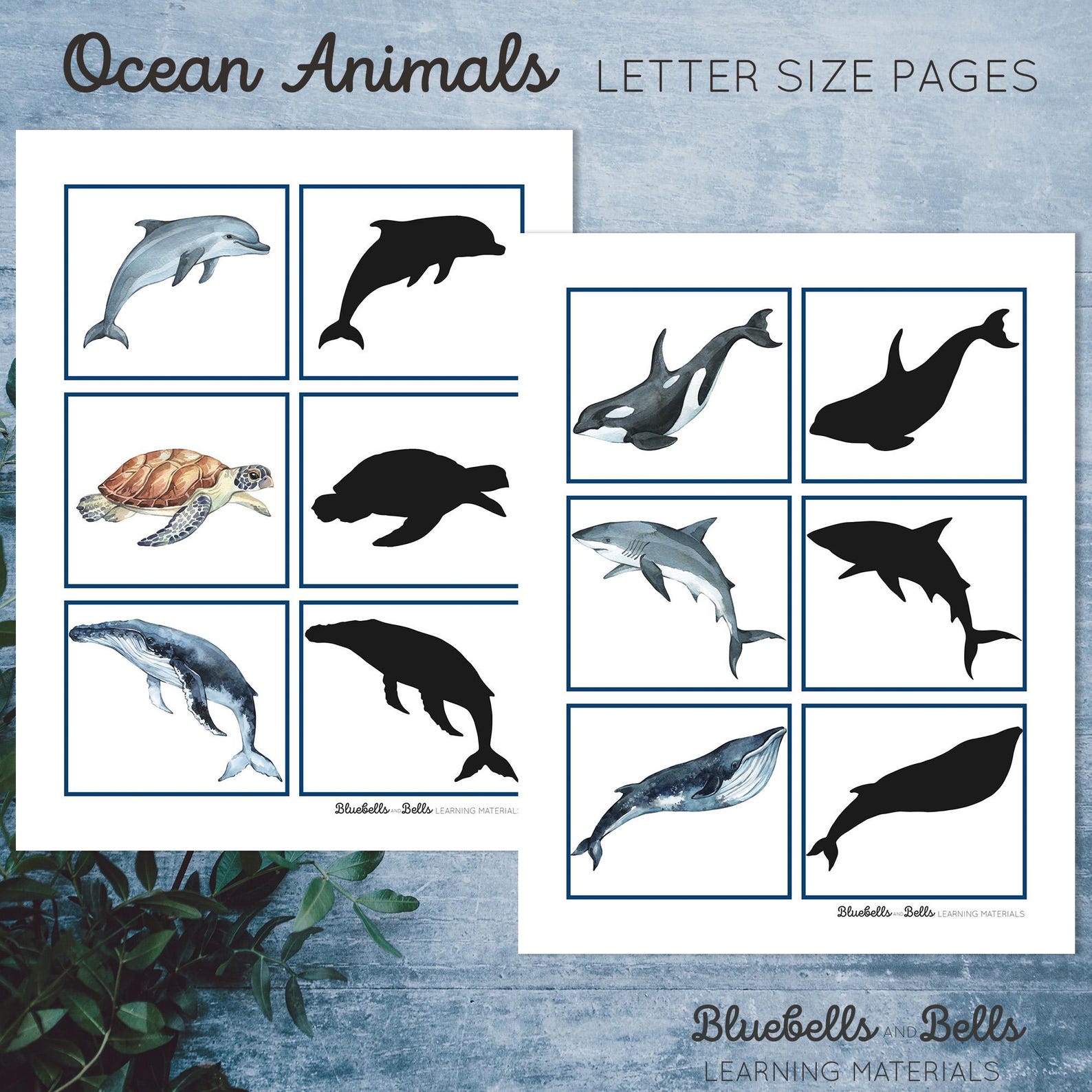Ocean Animal Shadow Matching Cards. Montessori Summer Preschool ...