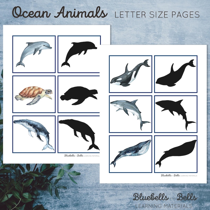 Ocean Animal Shadow Matching Cards. Montessori Summer Preschool ...