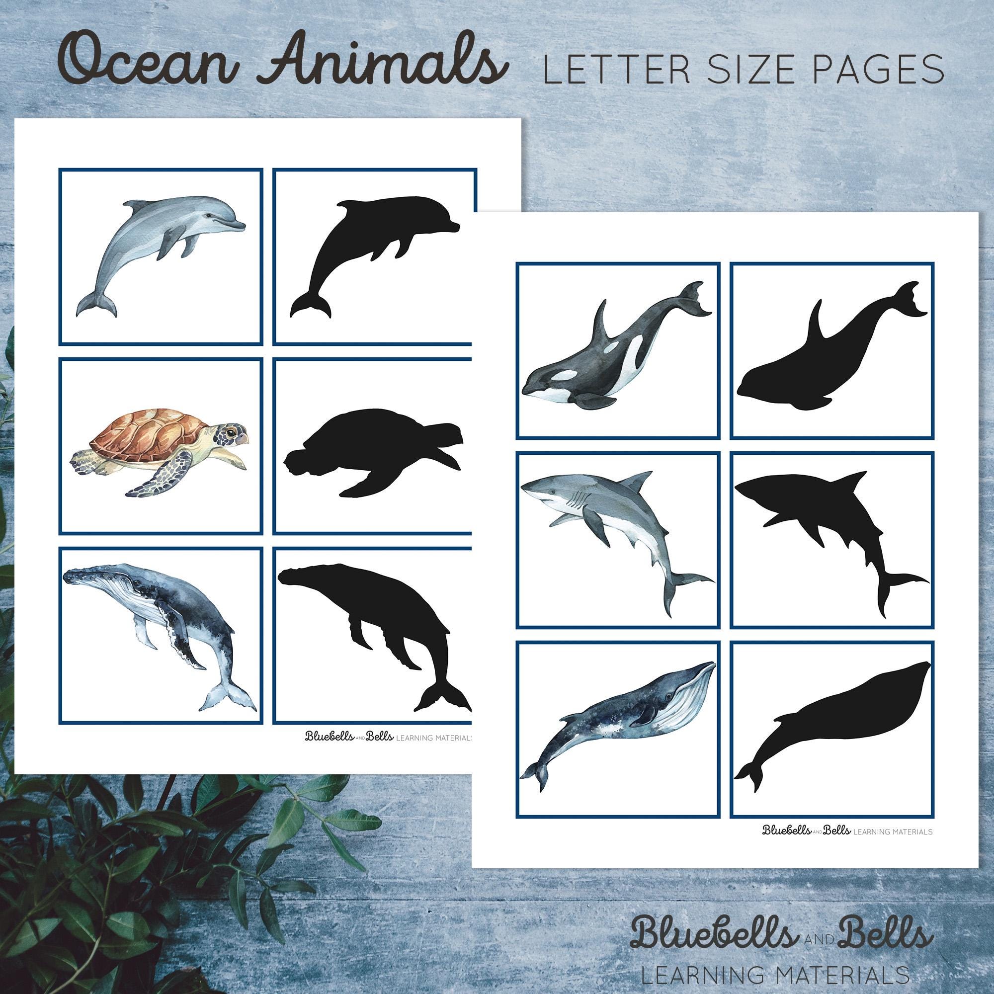 Ocean Animal Shadow Matching Cards. Montessori Summer Preschool ...