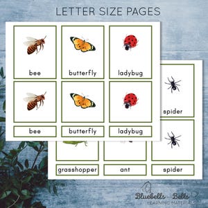 Insect Montessori Printable 3-part Cards. Preschool and Kindergarten ...