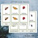 Insect Montessori Printable 3-part Cards. Preschool and Kindergarten ...